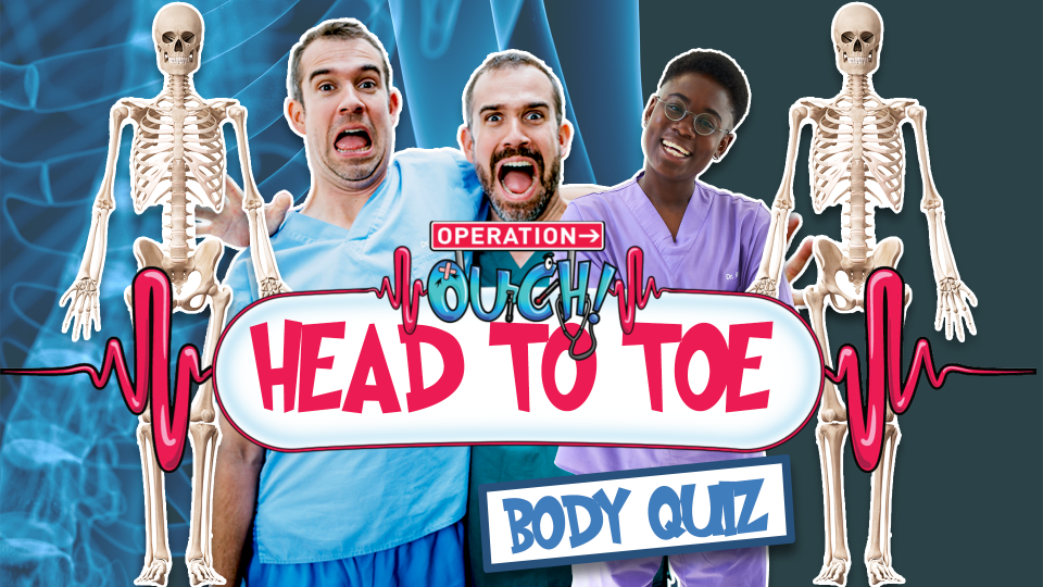 Operation Ouch! Head To Toe Quiz